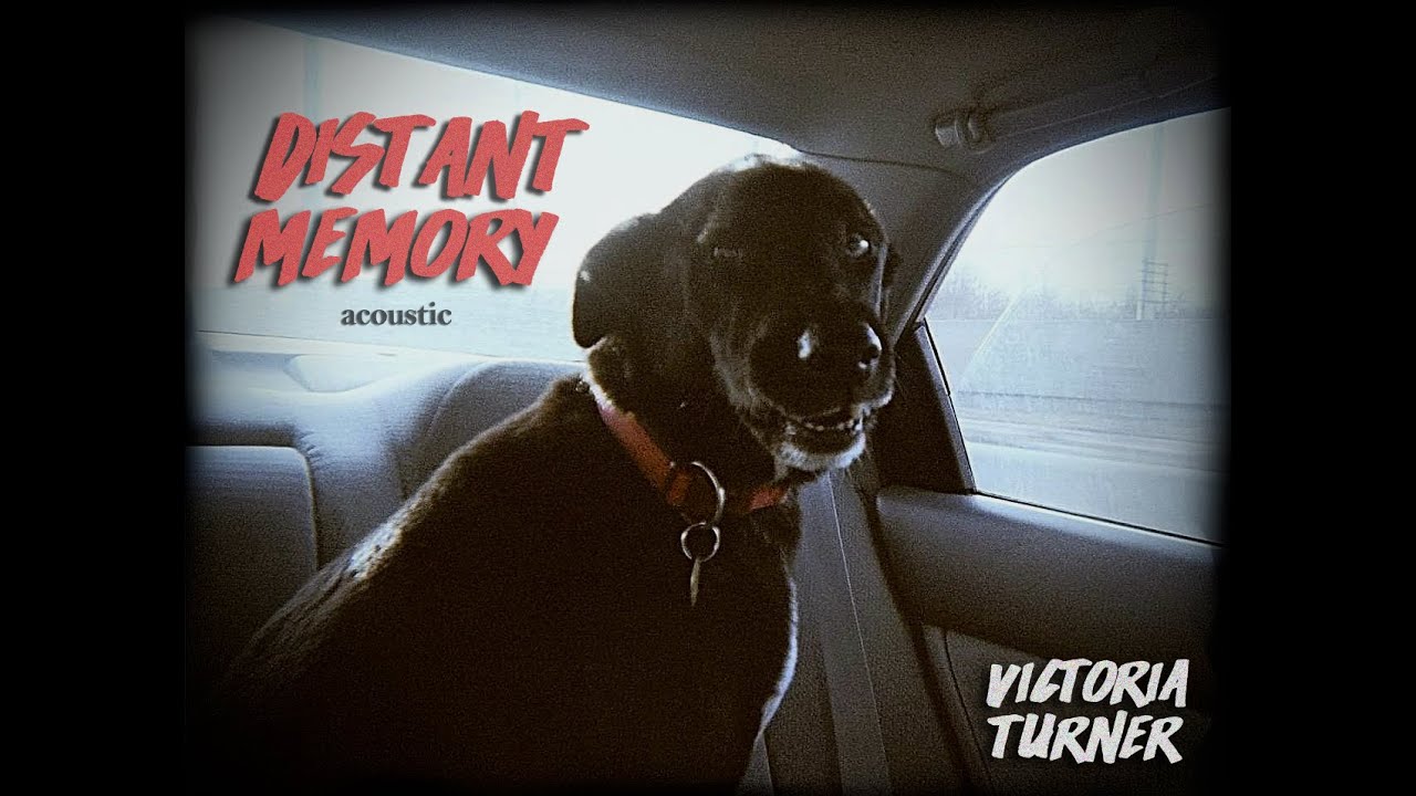 Distant Memory - Acoustic - YouTube