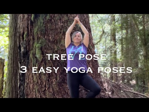 Tree Pose - 3 easy yoga poses - YouTube