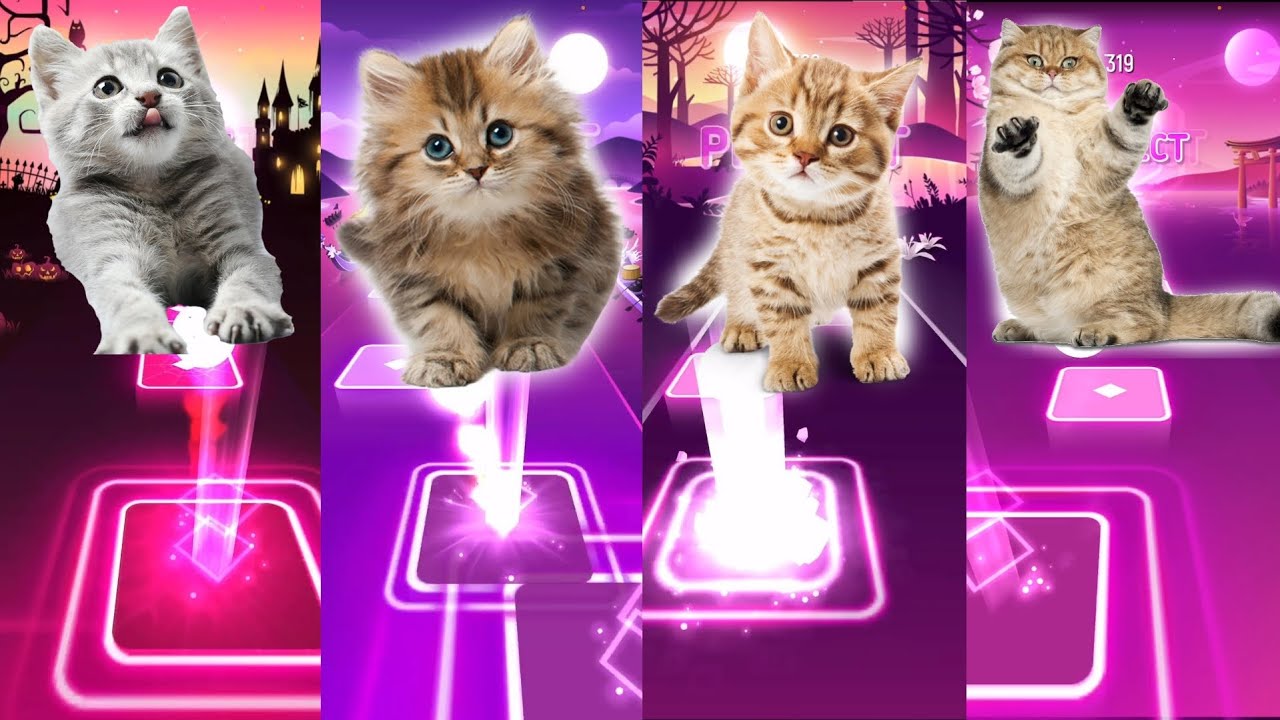 CUTE CATS - WEDNESDAY DANCE VS WEDNESDAY BLOODY MARY VS WEDNESDAY ANIME ...