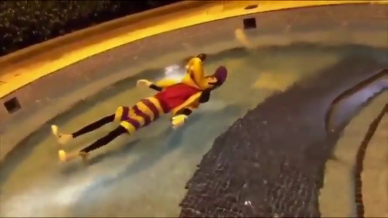 goofy in a pool - YouTube