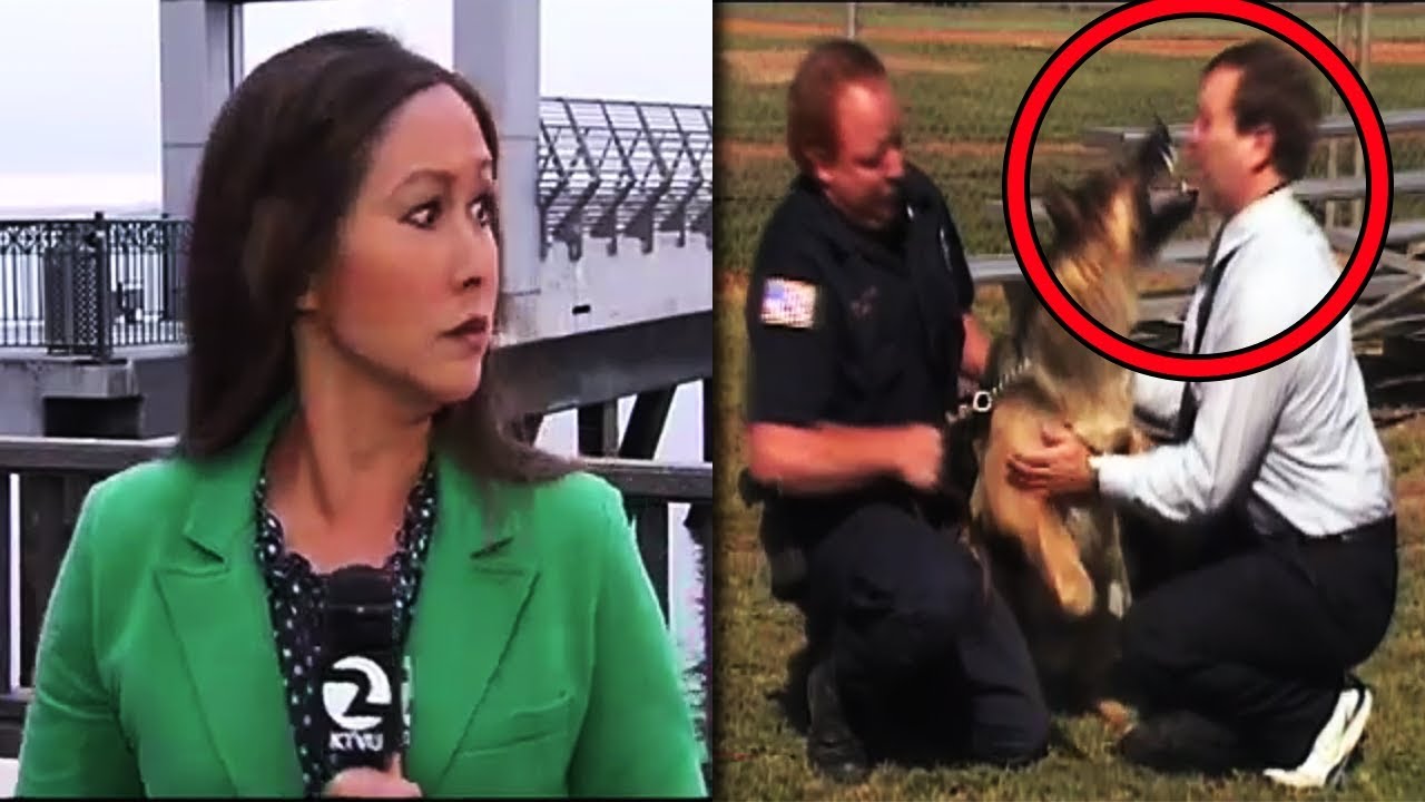 Top 15 Scary Live News On-Scene Moments - YouTube