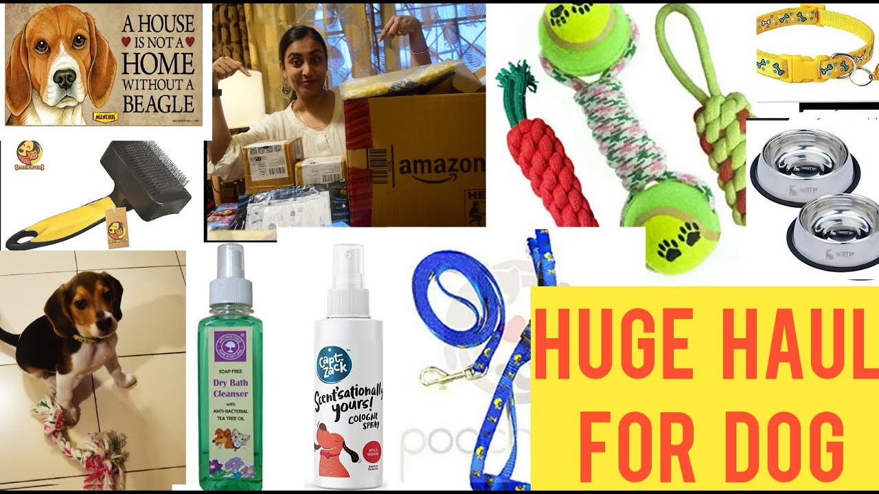 Huge Haul for dog/Dog essentials haul/amazon Haul for pet supplies ...