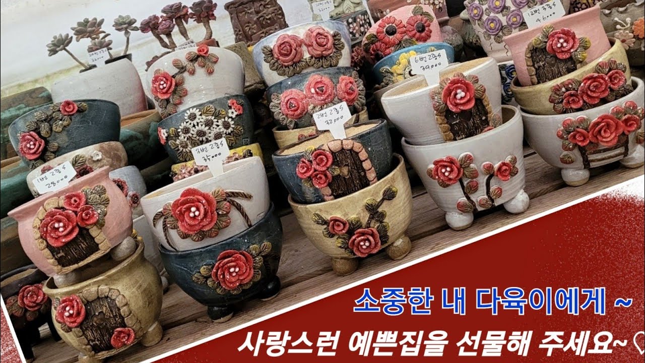 별난다육 새로 만든 다육화분 1월 25일다육이화분 다육화분 다육식물 수제화분 다육이 예쁜화분 Youtube