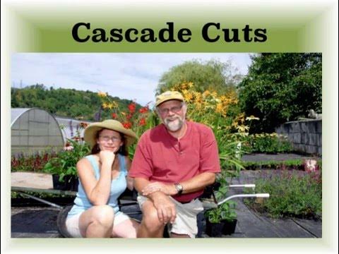 Cascade Cuts Nursery for Sale - YouTube