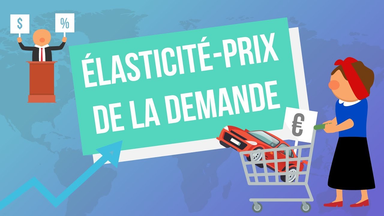 L'élasticité-prix de la demande - YouTube