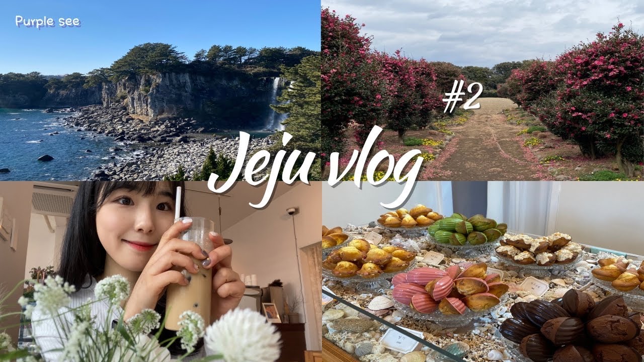 제주 혼자 여행 Vlog ️ 서귀포 여행 겨울 제주 여행 🍊 뚜벅이 여행 제주 여행코스 서귀포 카페투어 성공적