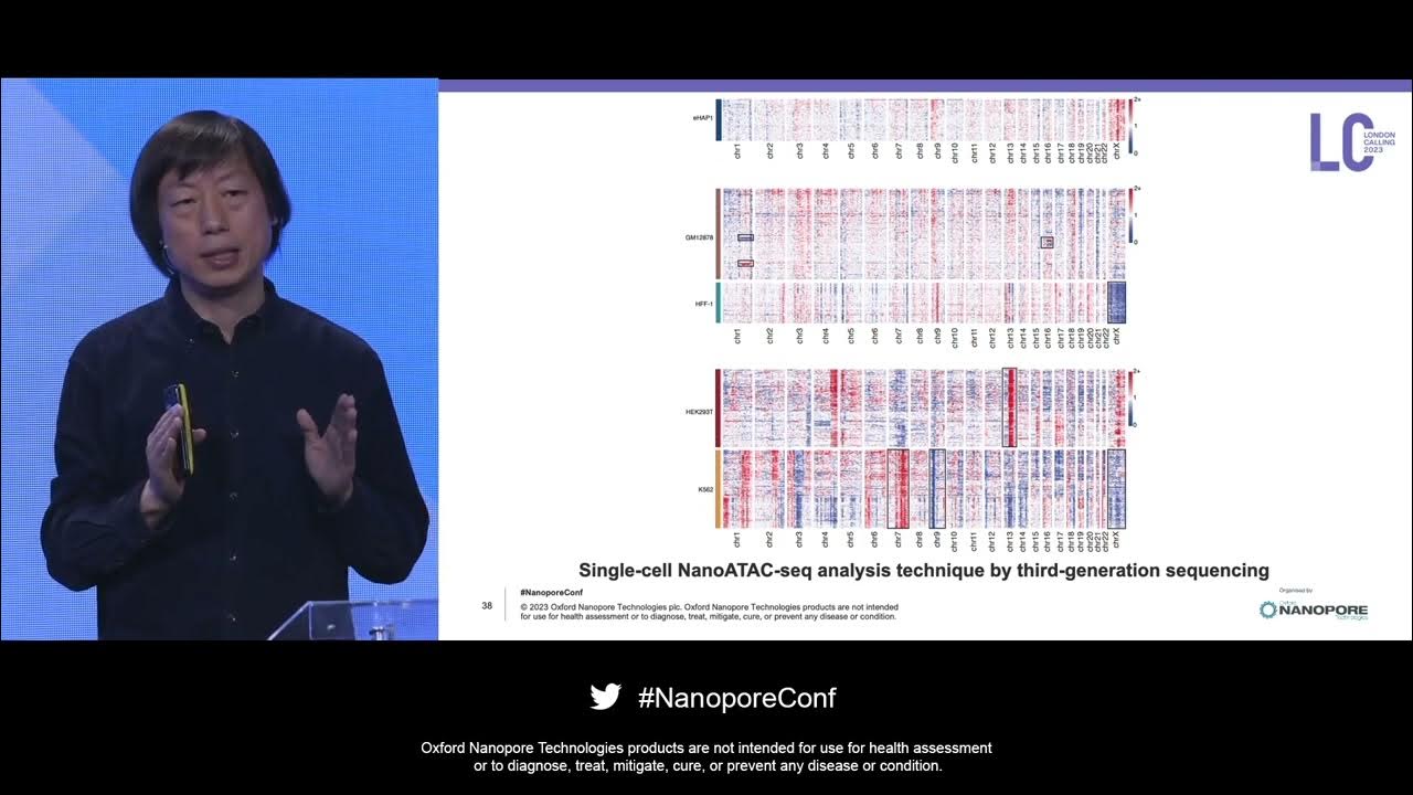 A long-read single-cell assay to simultaneously detect chromatin accessibility and genetic ...