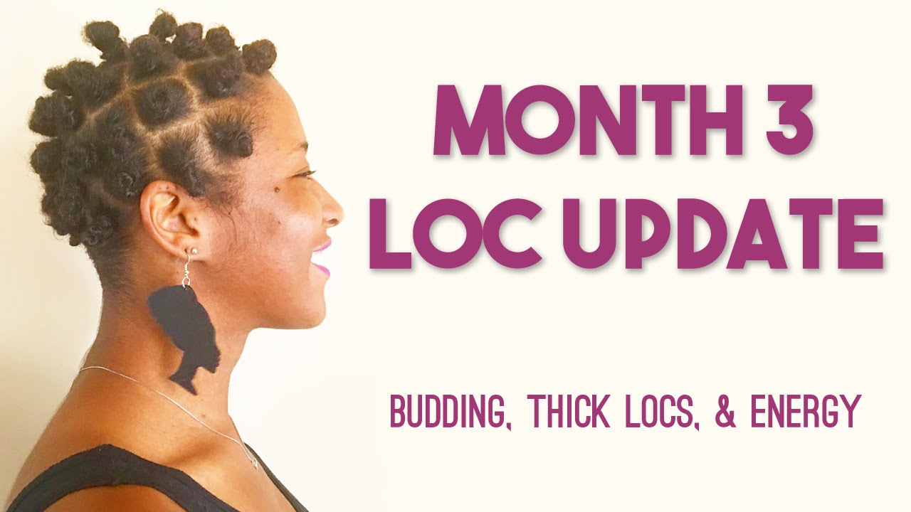 Month 3 Loc Update | Thick Locs, Budding Locs, and Energy - YouTube