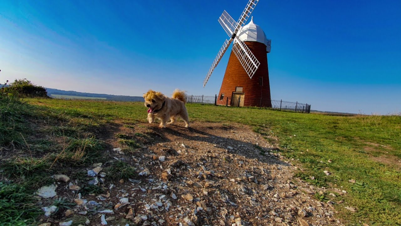 Halnaker Circular Including the Halnaker Windmill - YouTube