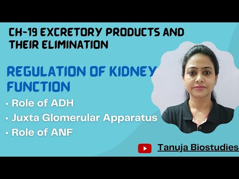 Ch-19 Excretory product & their elimination-Regulation of Kidney ...
