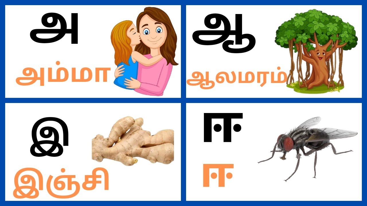 உயிர் எழுத்துக்கள்|அ ஆ இ ஈ| Tamil Alphabets Letters |@BOMMAI_CHANNEL ...