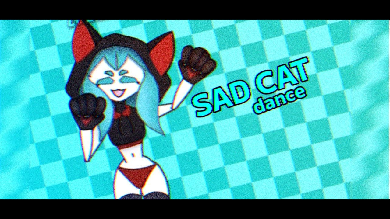 SAD CAT DANCE // Animation meme // Gift for @UnknownSpy - YouTube