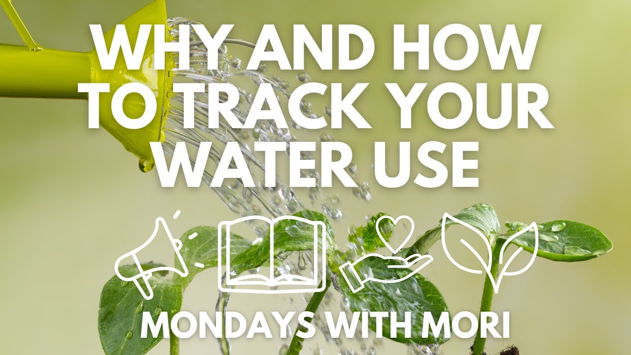Why and How to Track Your Water Use | Mondays with Mori - YouTube