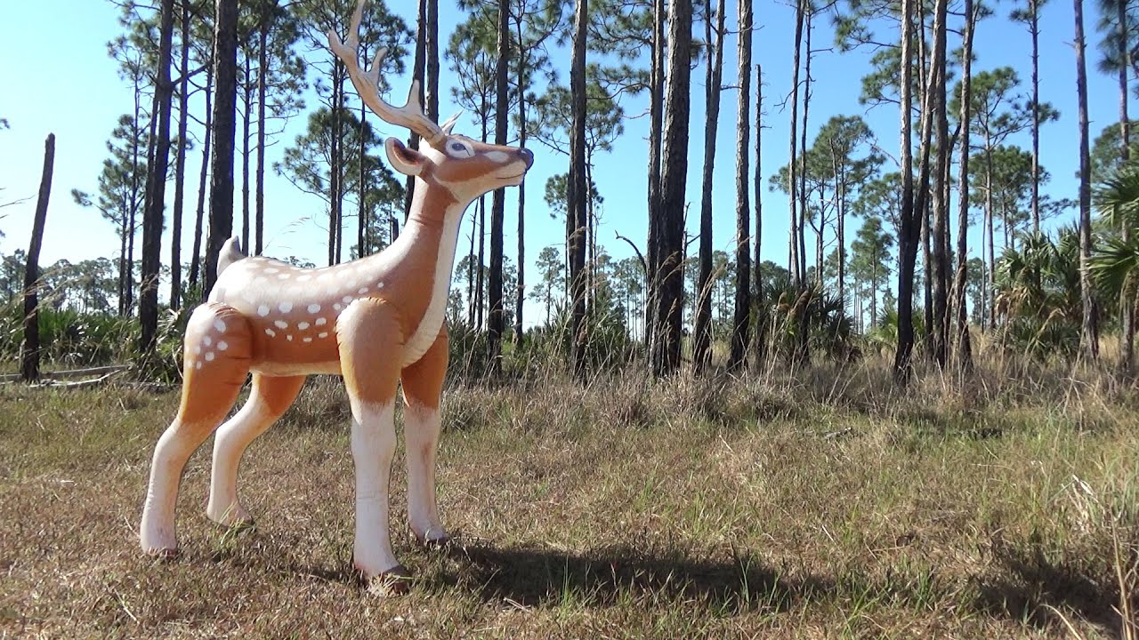 Inflatable Deer Toy from Intex - YouTube