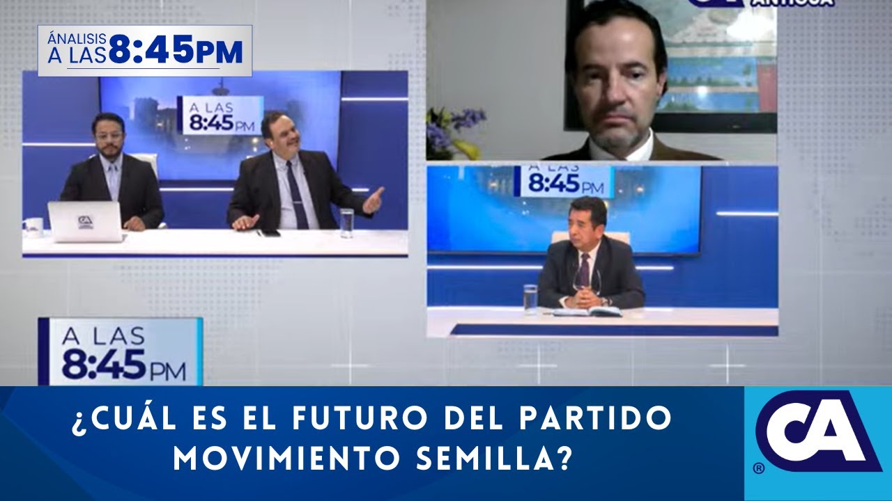 Se confirma la suspensión del partido Movimiento Semilla, ¿cuál es su ...