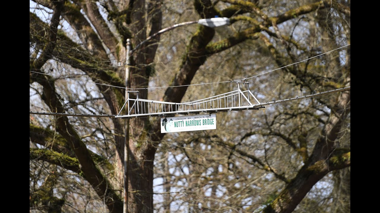 Nutty Narrows Squirrel Bridge - YouTube