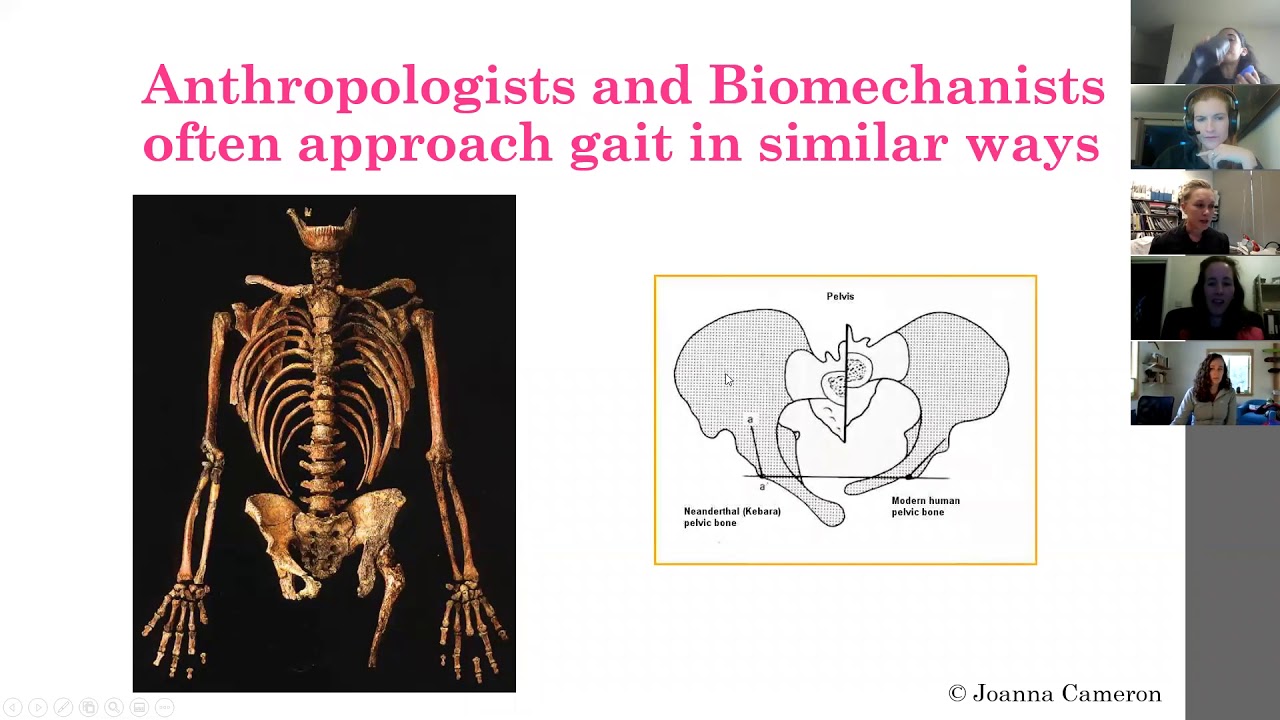 IWB Dec 2020 Meeting: Dr. Cara Wall-Scheffler - YouTube