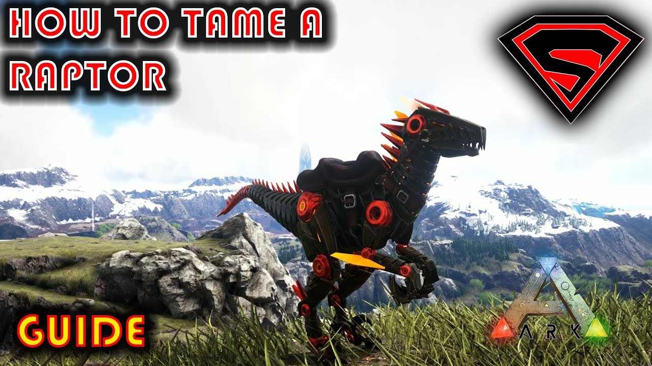 ARK HOW TO TAME A RAPTOR 2019 - EVERYTHING YOU NEED TO KNOW ABOUT ...