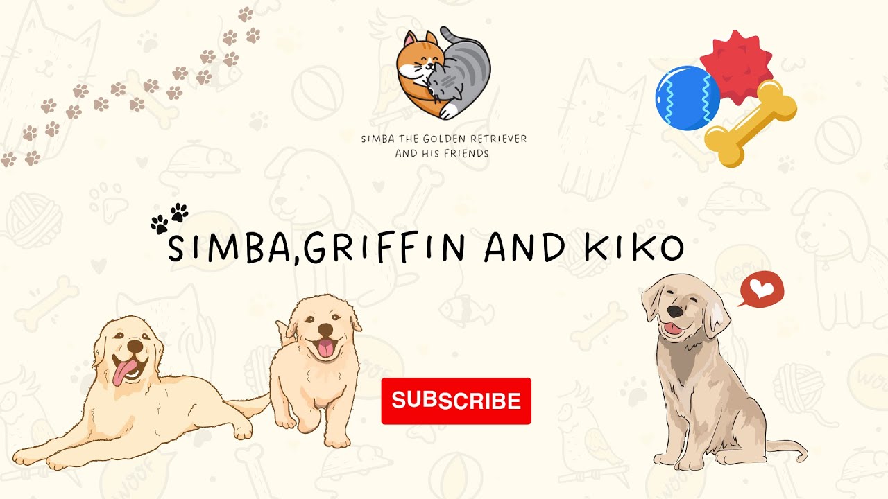 Meeting my Golden Retriever friends Griffin and Kiko! | Simba the ...