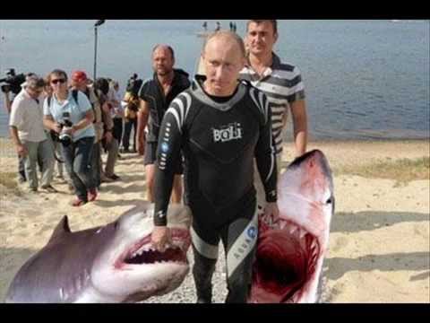 Sleepy Obama/Putin Wrestles a Shark - YouTube