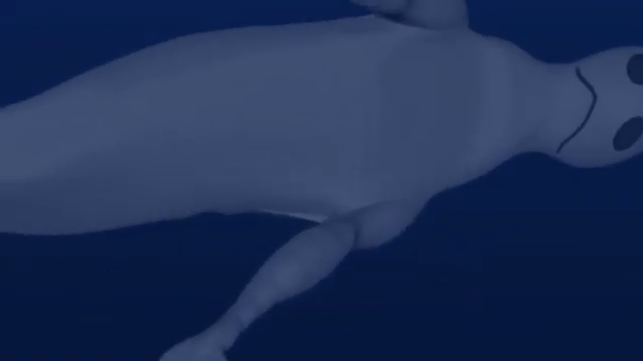 Ningen (Cryptozoological Creatures) - YouTube