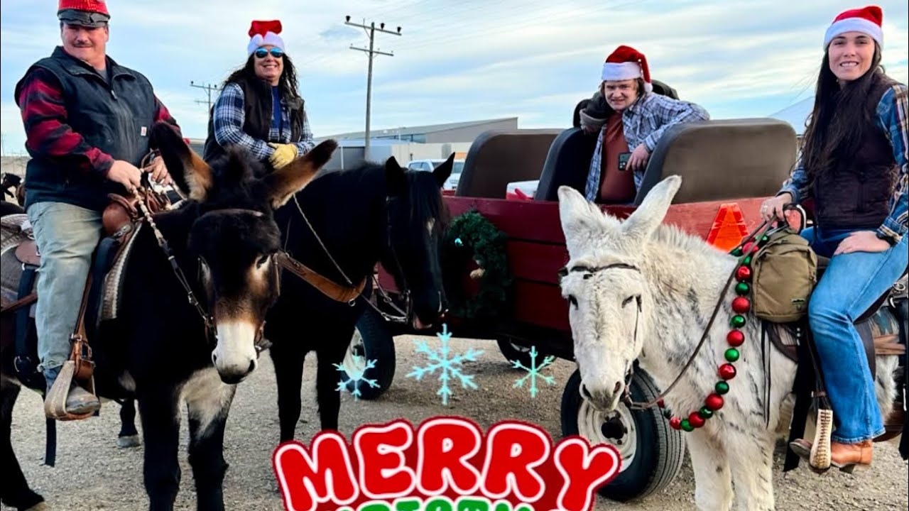 Christmas Caroling With DONKEYS! - YouTube