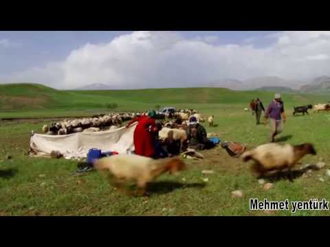 Jıyana Welat ( 1 ) == Mehmet YENTÜRK