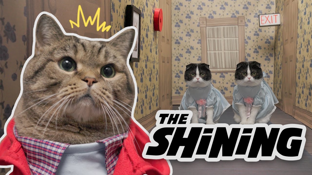 Come Play With Us - The Shining with Cats - YouTube