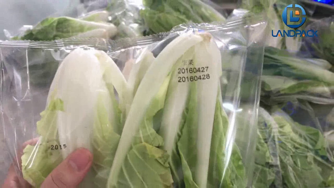 Chinese Cabbage packaging machine | automatic vegetable packing machine ...