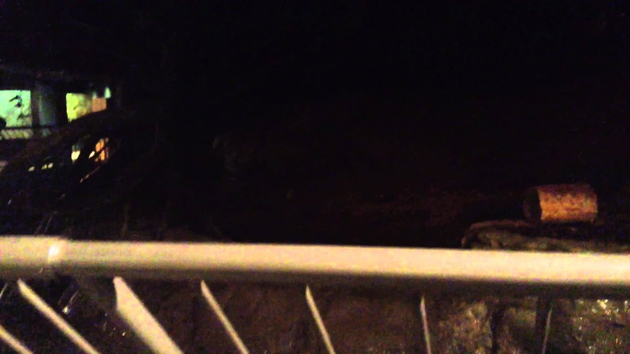 Indoor rain at Cleveland zoo Rainforest - YouTube