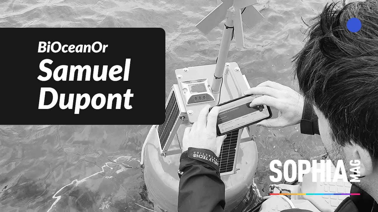 SophiaMag 41 | Samuel Dupont - BiOceanOr met l’intelligence ...