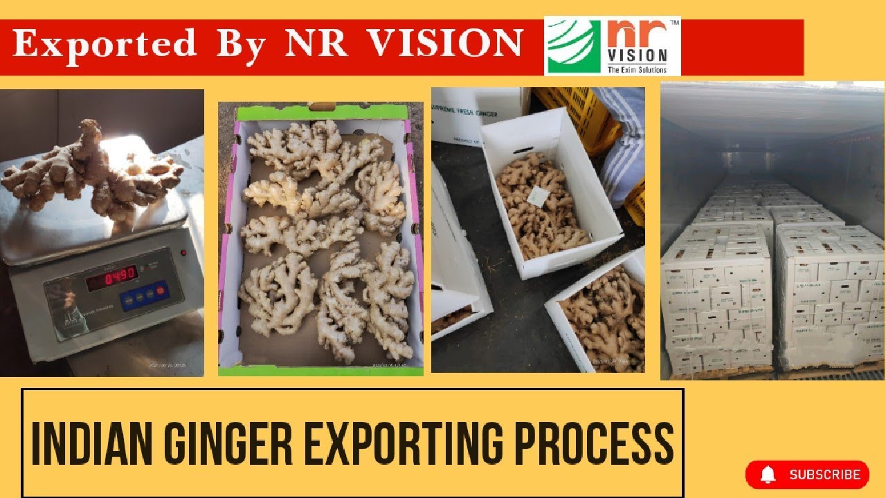Ginger export packing for USA market From NR VISION EXIM Nashik - YouTube