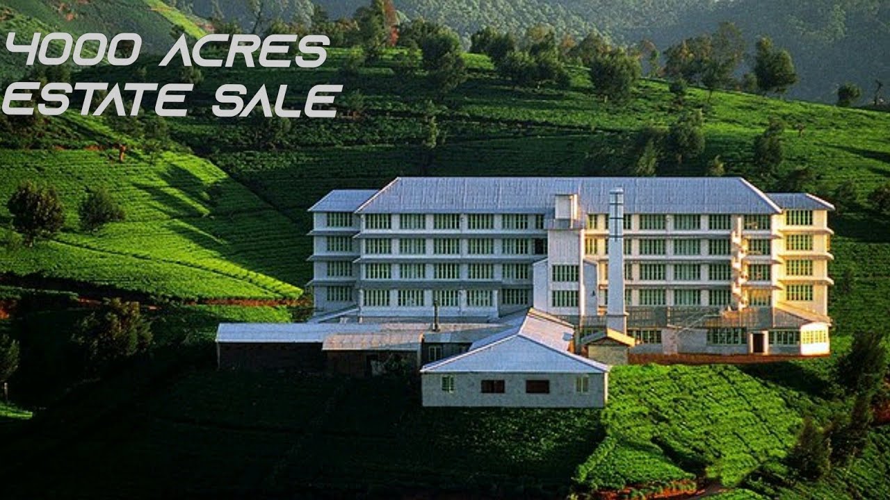 4000 ACRES BEAUTIFUL TEA ESTATE SALE ## cell _82202 07952 - YouTube