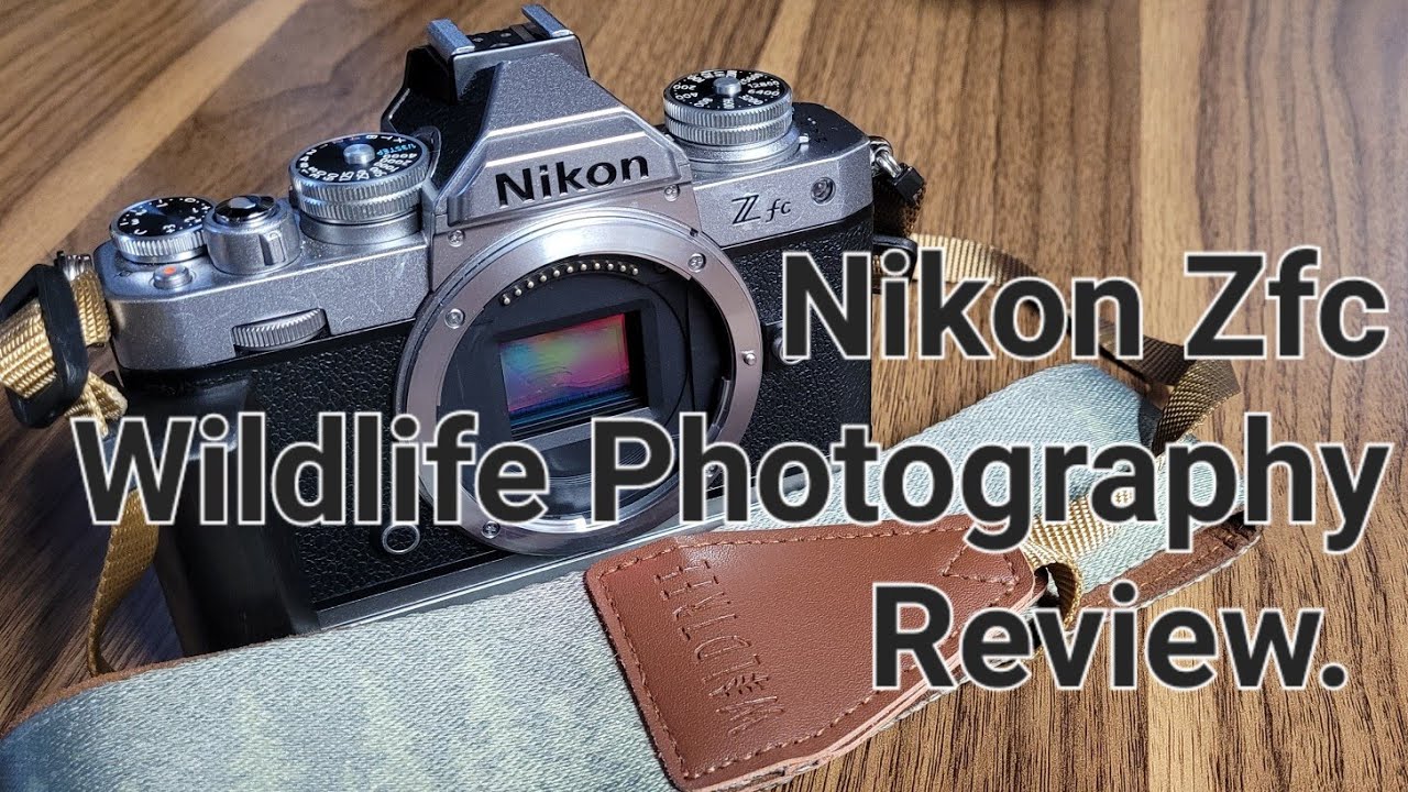 Nikon Zfc Review - Nikon 180-600 Wildlife Photography - YouTube