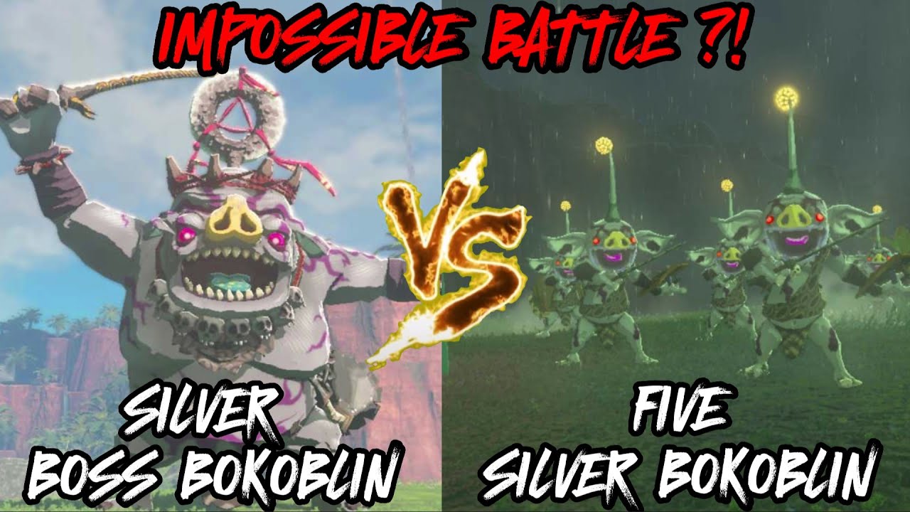 BOSS BOKOBLIN SILVER VS 5 SILVER BOKOBLIN !CAN HE WIN ?! (The Legend of ...