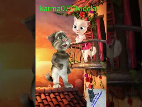 evlenecem evlenecem değil evlenmeycem evlenmeycem