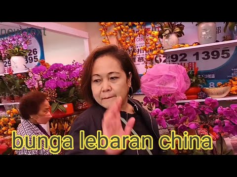 JALAN jALAN DI PASAR TAIWAi HONGKONG BANYAK TANAMAN HIAS DI DEPAN ...