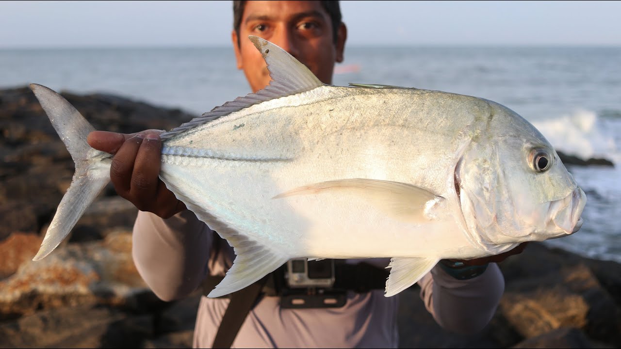 Trevally fishing from a Jetty in Tamil Nadu - YouTube