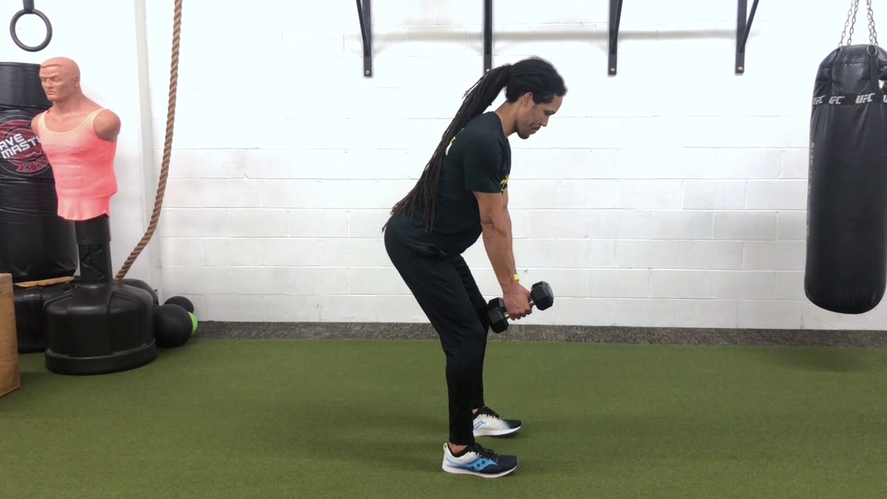 Standing Bent Over Row with Dumbbells - YouTube