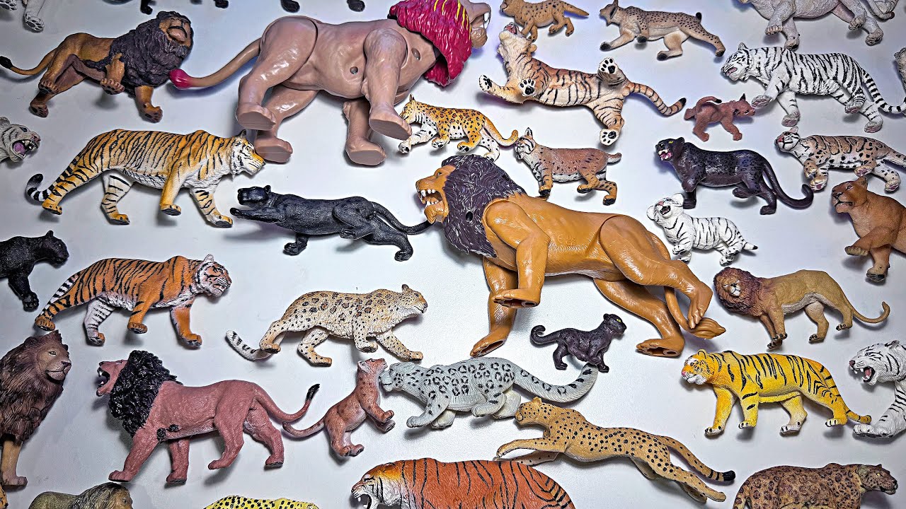 BIG CATS & WILD CATS Toys for Kids! Learn Animal Names - Cheetah ...