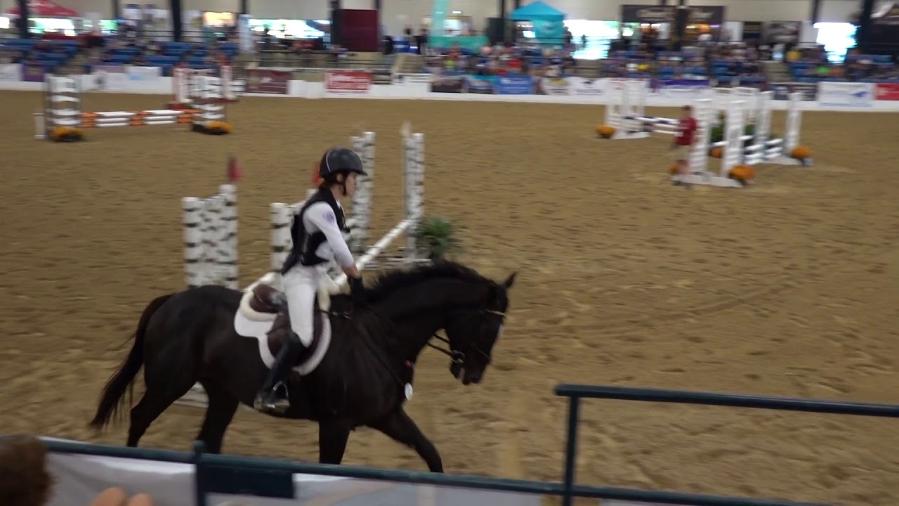 Alison Wilaby Big Ralph RRP Eventing Finals - YouTube