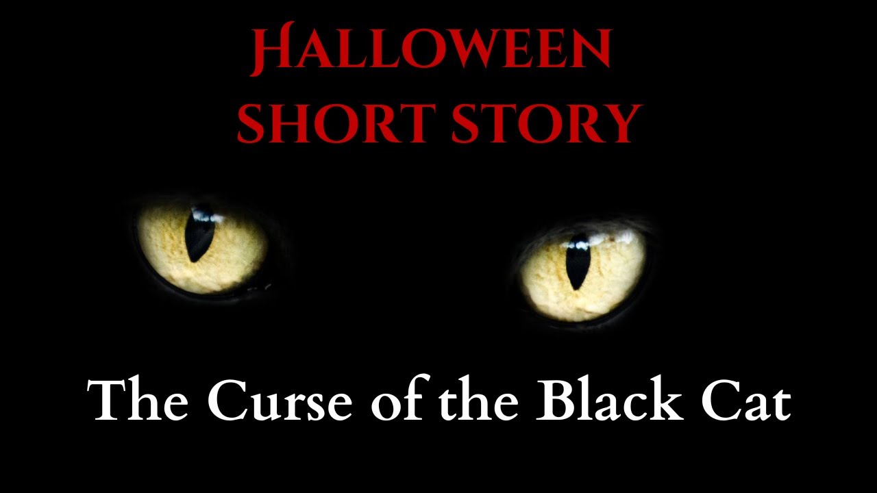 The Curse of the Black Cat (Halloween Short Story) - YouTube