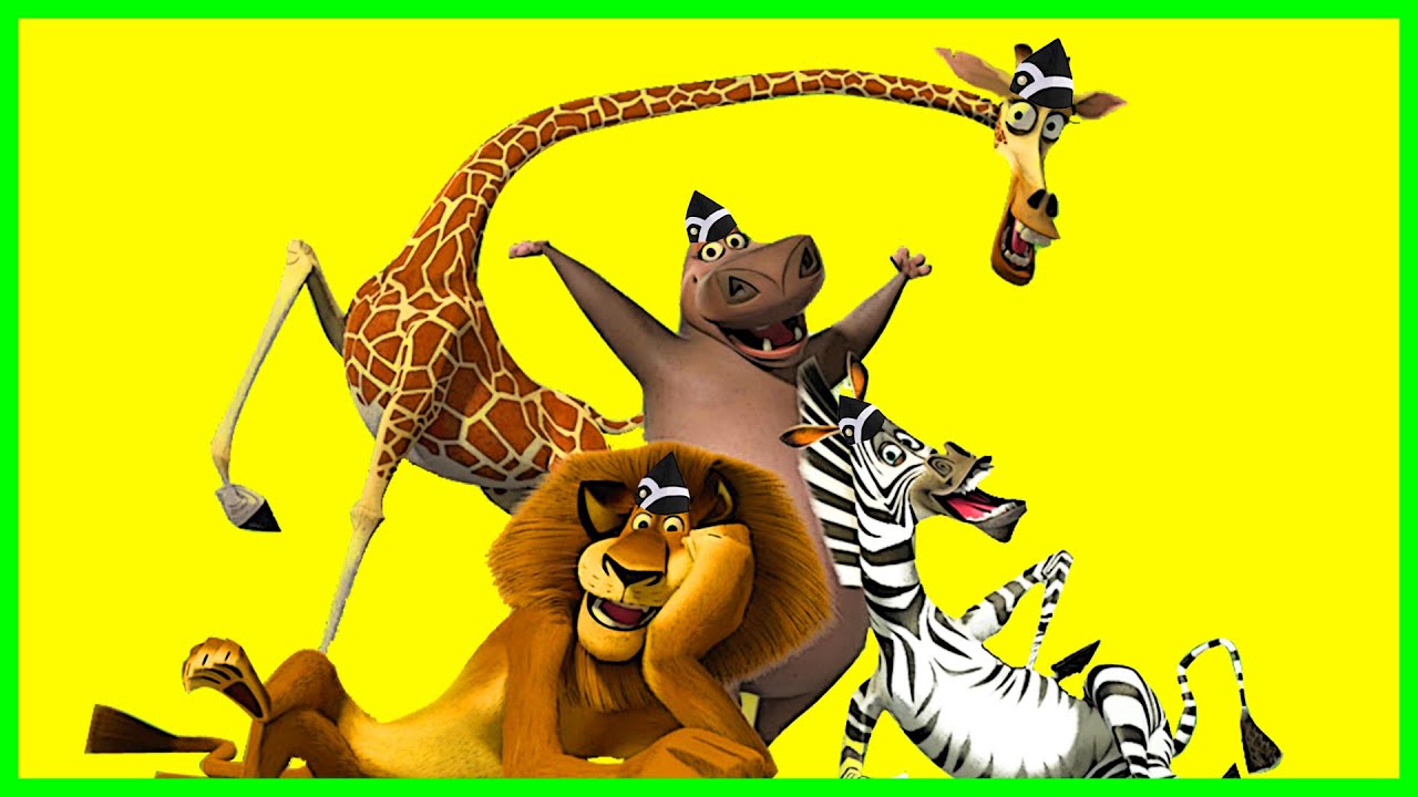 Madagascar - Coffin Dance #shorts - YouTube