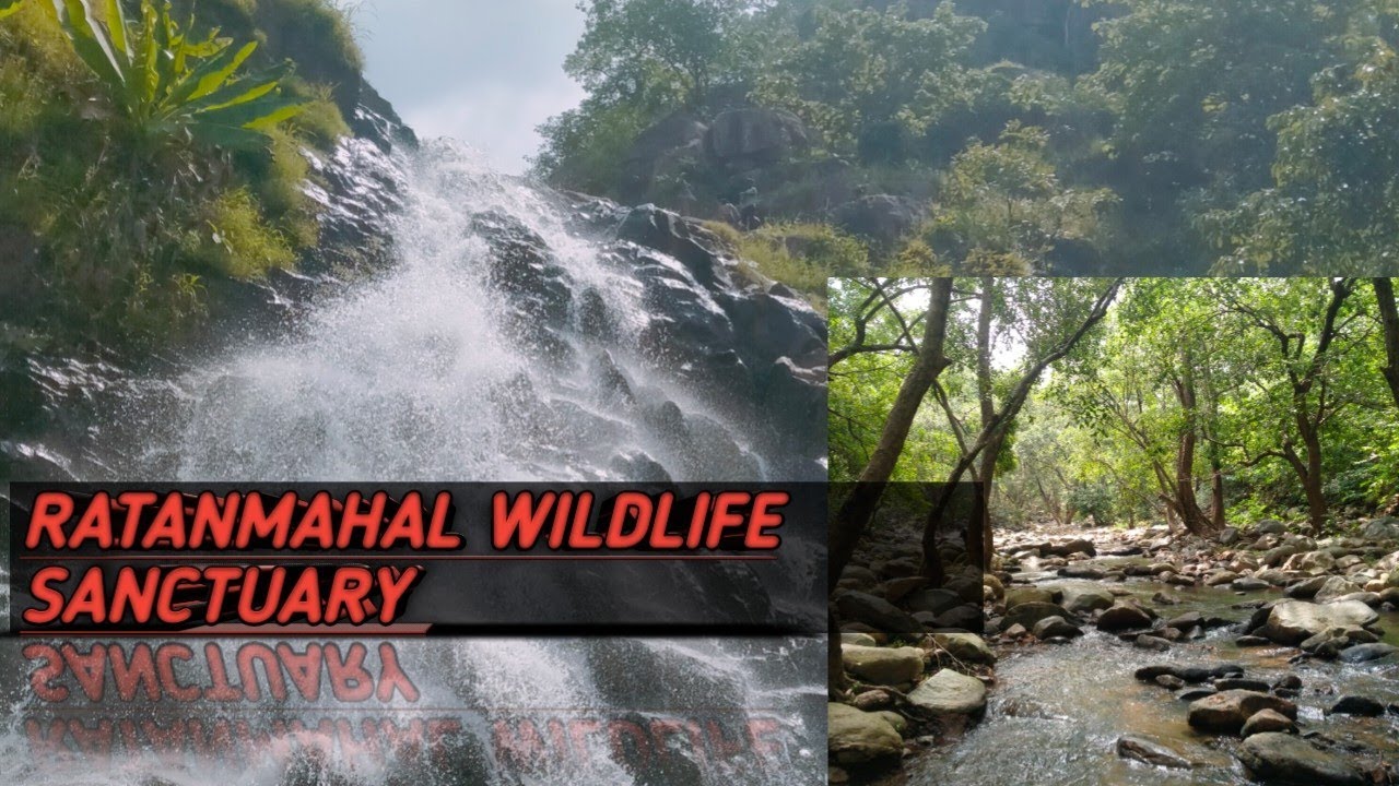 RATANMAHAL WATERFALL SLOT BEAR SANCTUARY DAHOD. #gujarattourism # ...