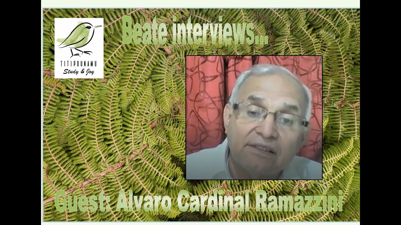 Syondal Journey - Alvaro Cardinal Ramazzini - YouTube