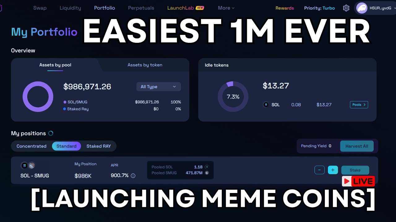 How i Made 1M Launching Meme Coins Every Day on Raydium - YouTube