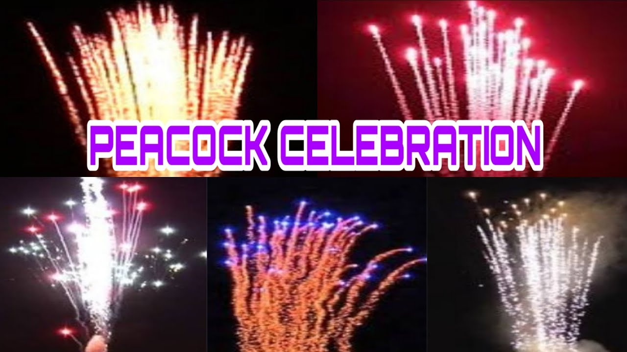 PEACOCK CELEBRATION 30 MINES || SPNKA FIREWORKS || FIREWORKS TESTING ...