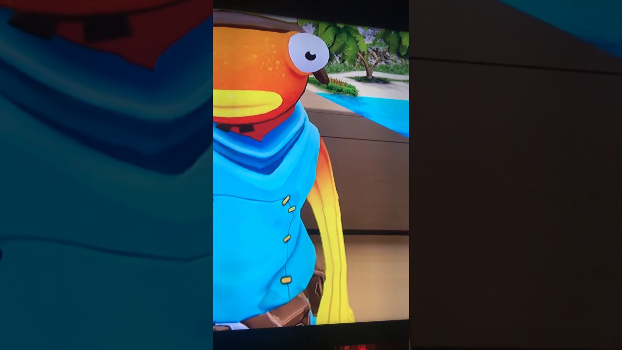 Tiko in vr I free Wi-Fi in the van - YouTube