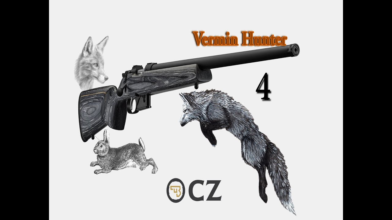 17 hmr Vermin Hunter 4 223 Centrefire Foxing on the Golf Course - YouTube
