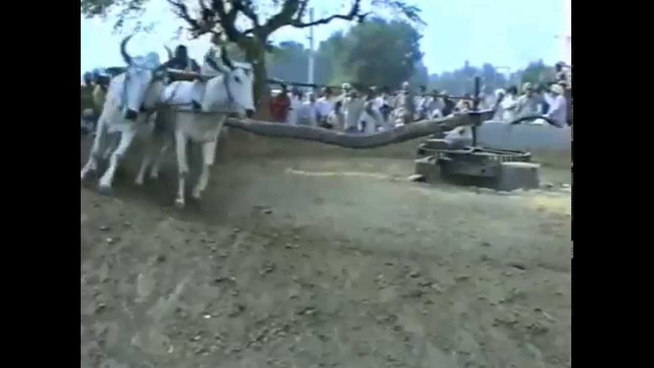 Shankar -Lumber khera at pind Shankar 2008 - YouTube